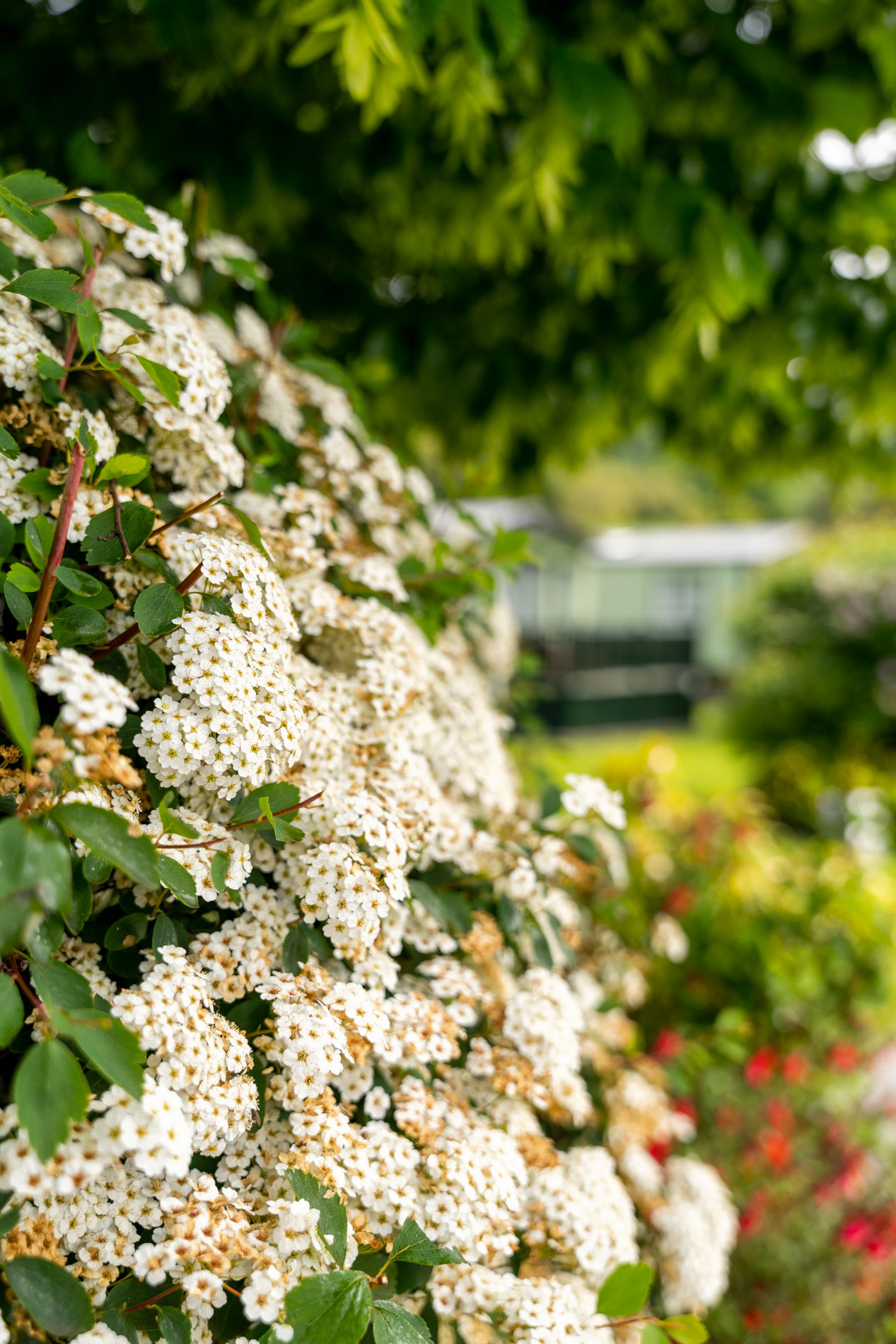 Meet the Team | Lucksall Holiday Park | Herefordshire